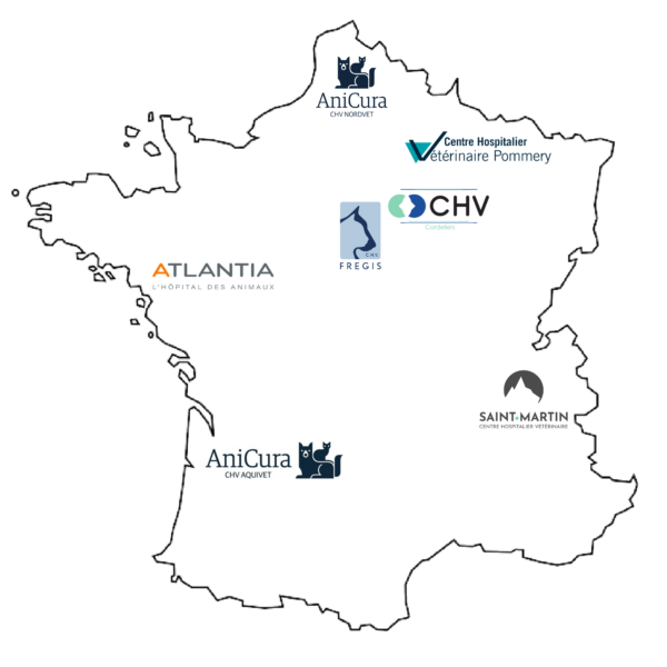 Internship des CHV – ProgressVet